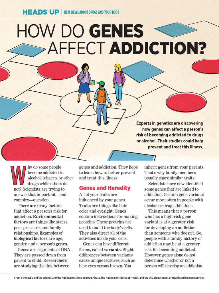 How Do Genes Affect Addiction-Gr 4-6 reader-NIDA | PDF | Gene | Heredity