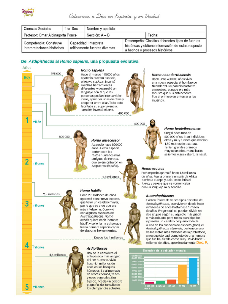 Ficha de Trabajo Proceso de Hominizacion | PDF