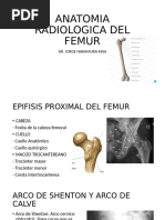 Proyecciones Axiales de Rótula en RX | PDF | Rodilla | Sistema ...