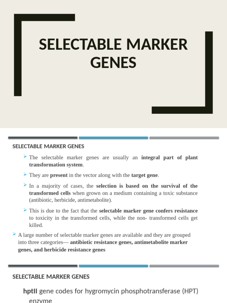 Selectable Marker and Reporter Genes | PDF | Luciferase | Green ...