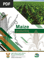 Crop Growth Chart - Maize: Stage VE V2 V5 V8 V12 V16 R1 R5 | PDF