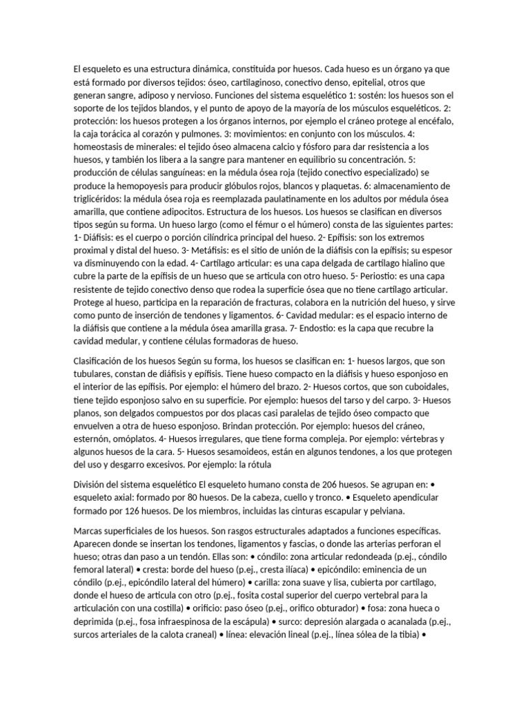 El esqueleto es una estructura dinámica | PDF | Hueso | Esqueleto