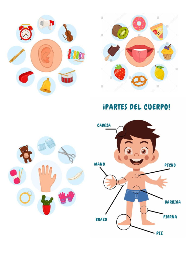 Recortes Sentidos y Cuerpo Humano | PDF