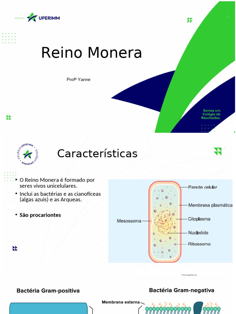 Reino - Monera e Protista 3 Serie | PDF | Bactérias | Protozoários