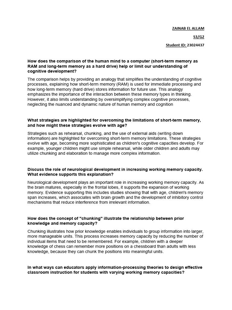 Information Processing | PDF | Memory | Working Memory