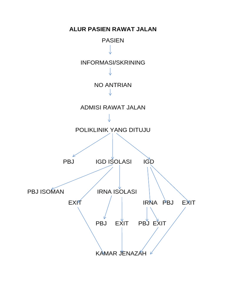 Alur Pasien | PDF