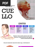 Fascias del Cuello: Estructura y Función | PDF | Sistema ...