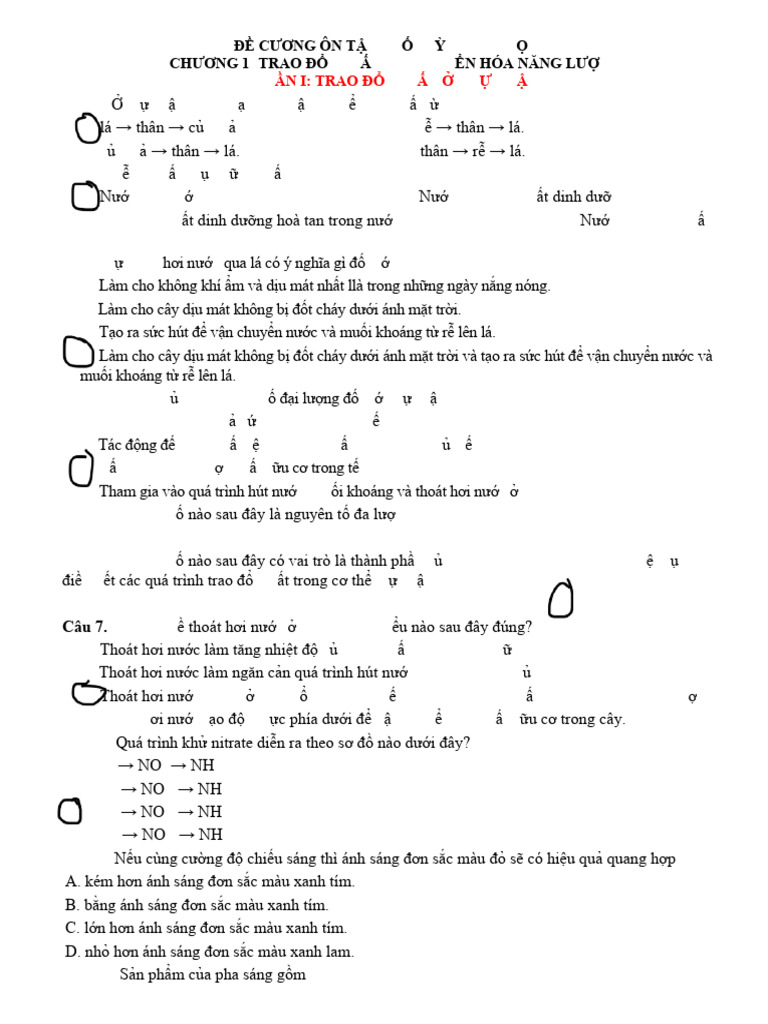 Đề Cương Ôn Tập Sinh 11 - HK1 - HS | PDF