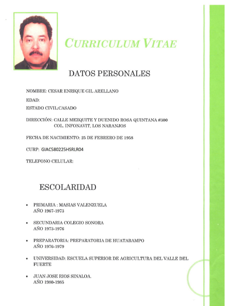 Curriculum Cesar Gil 2020 | PDF