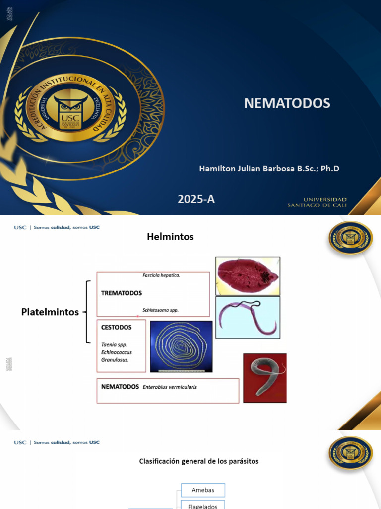 5 .Nematodos | PDF | Especialidades Medicas