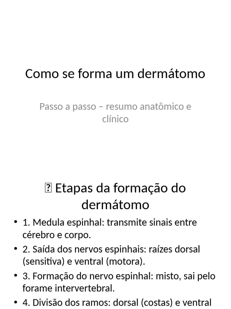 Dermatomo Passo A Passo | PDF