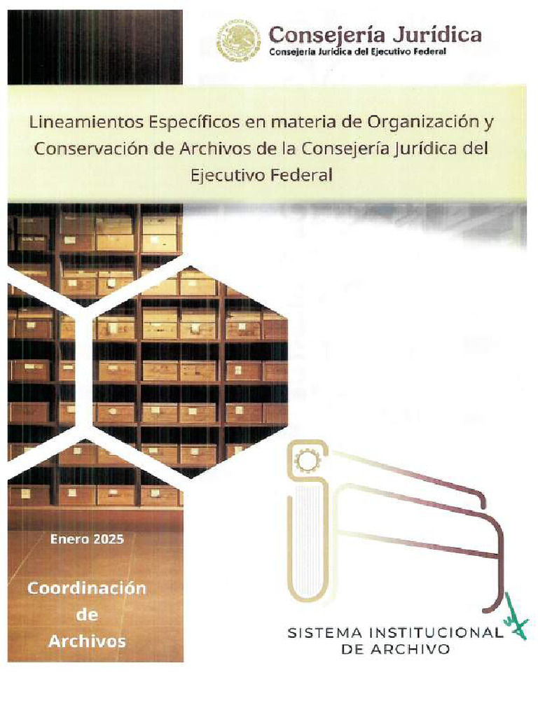 Lineamientos Espec Ficos en Materia de Organizaci N y Conservaci N de Archivos de La CJEF ...
