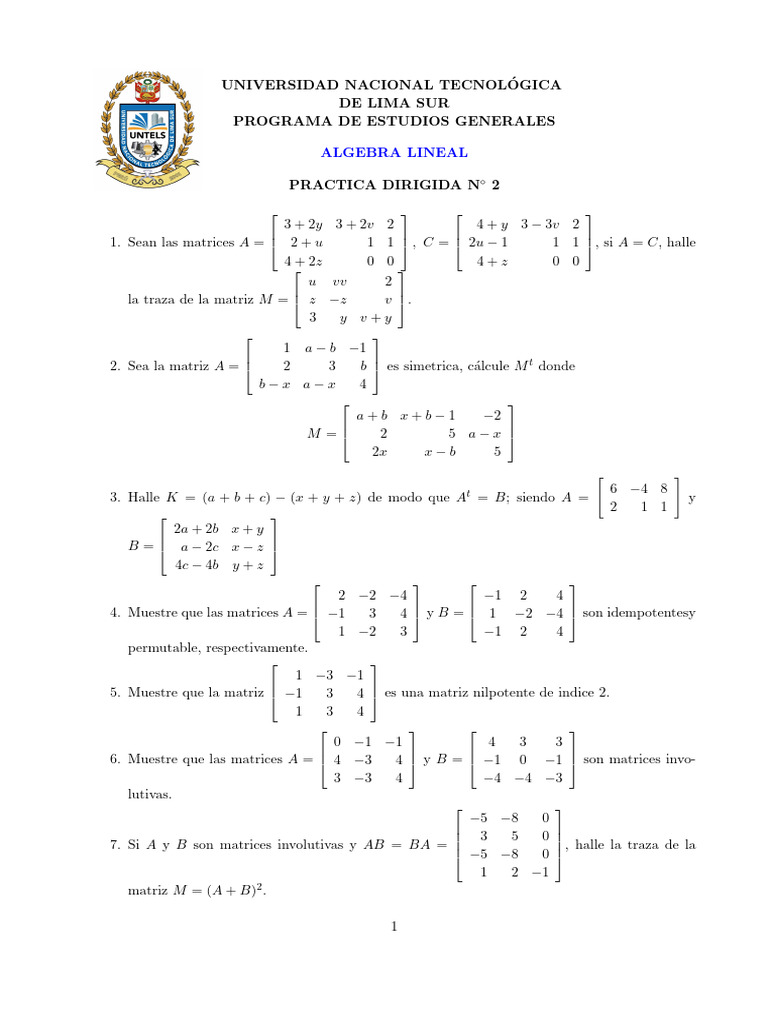 Practica Dirigida N 2 | PDF | Matriz (Matemáticas) | Análisis funcional