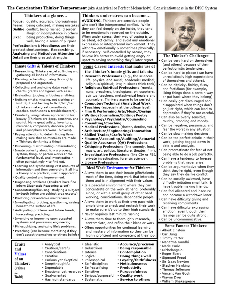 The Conscientious Thinker Temperament - 1 Page Description | PDF ...