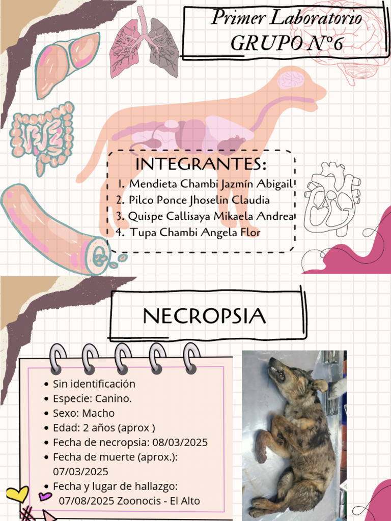 Añadir Un Título - 20250310 - 185409 - 0000 | PDF