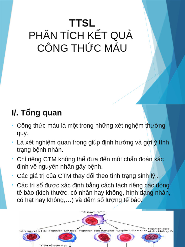 TTSL CTM - Bs Ánh | PDF