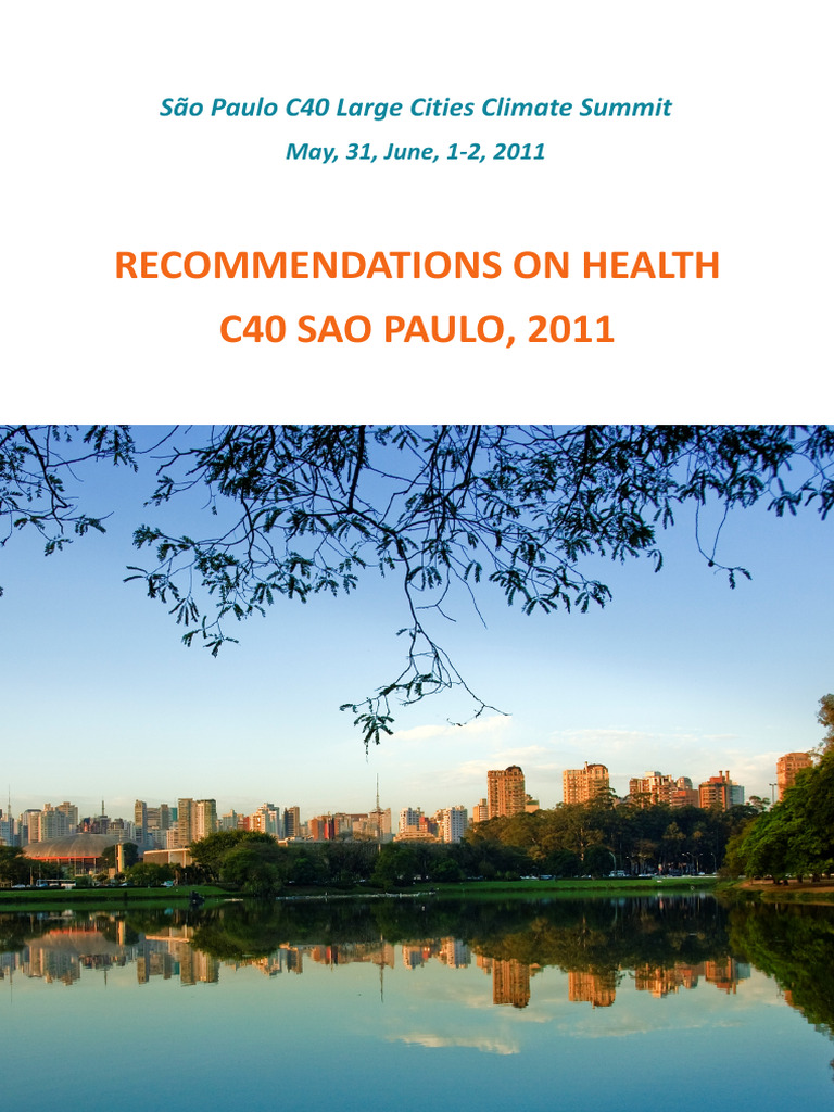 Health Recommendations from C40 Summit | PDF | Air Pollution | Heat Wave