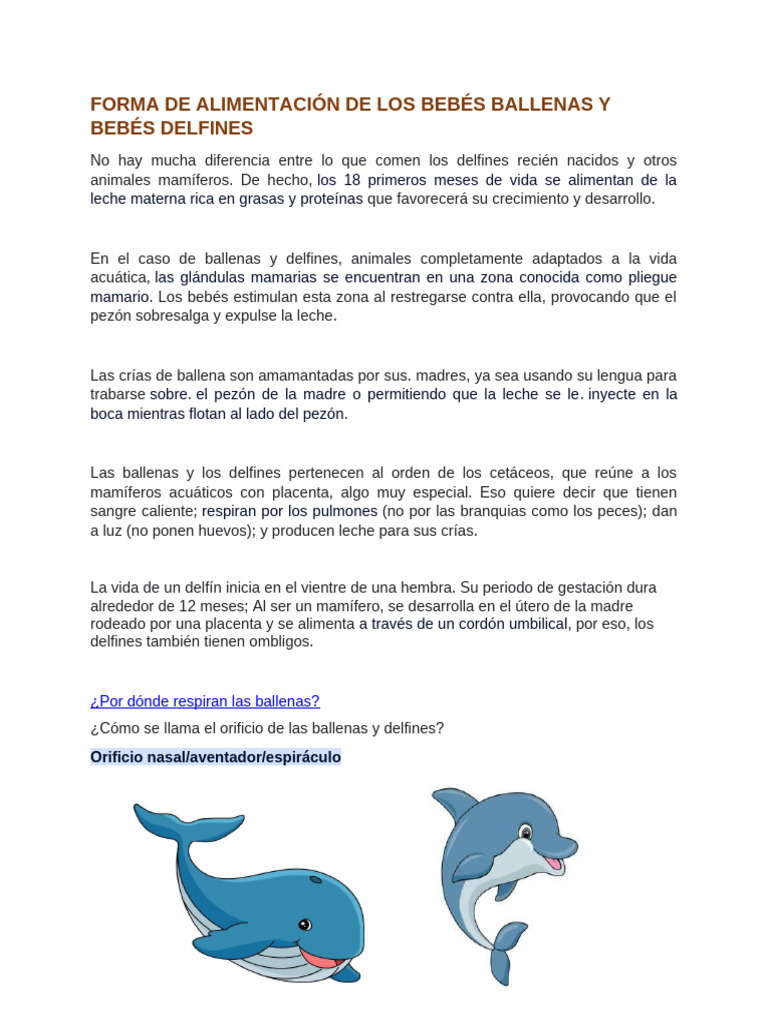 Forma de Alimentación de Los Bebés Ballenas y Bebés Delfines | PDF