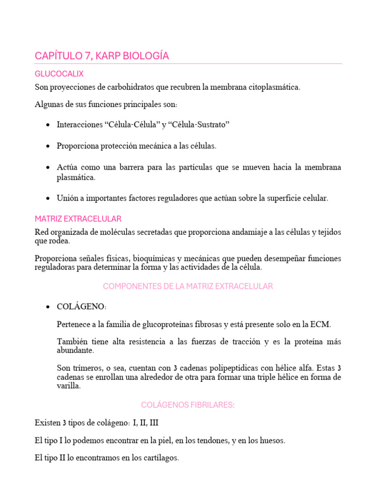 Cap7 Karp RESUMEN | PDF | Colágeno | Adhesión celular