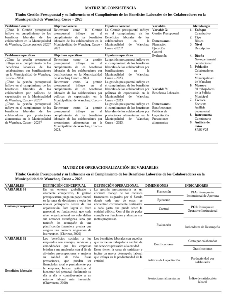 MATRIZ DE CONSISTENCIA Y MATRIZ OPERACIONAL (Modificado) | PDF ...