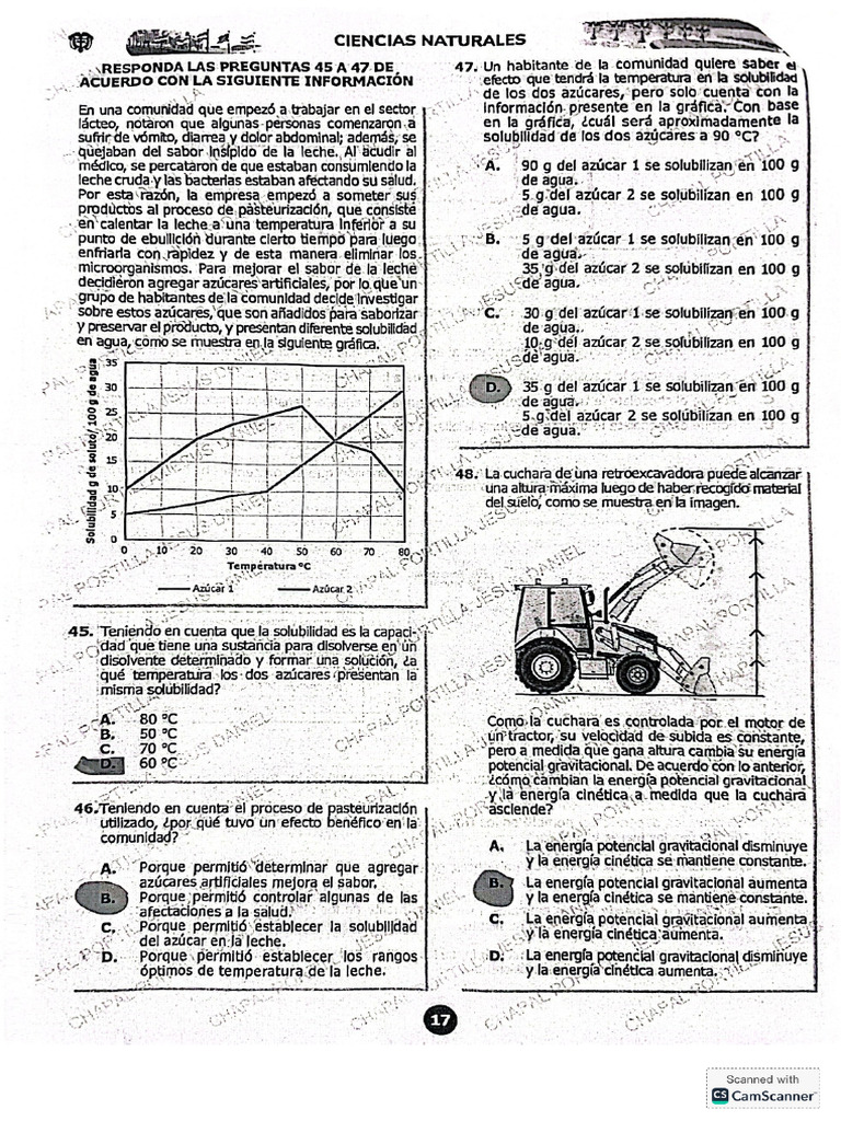 ICFES 2025 CAL A 1ss | PDF