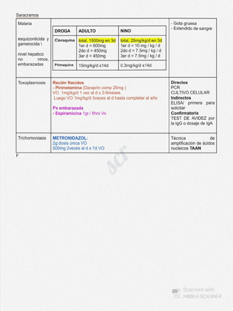 Protozoarios Parte 2 SCR | PDF