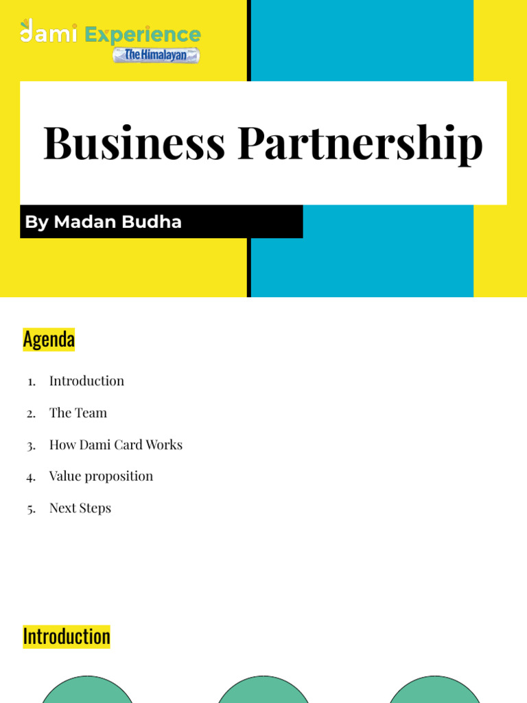 Dami Card Partnership Overview | PDF | Marketing | Business