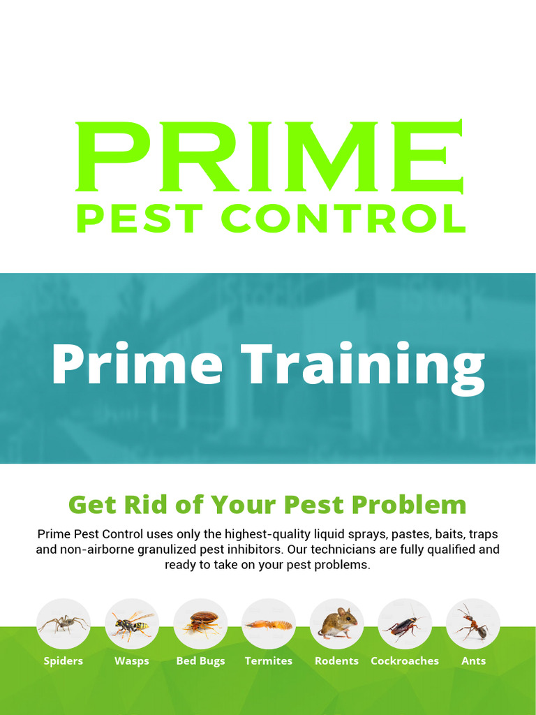 Prime Training Manual 1 | PDF | Sales | Insects