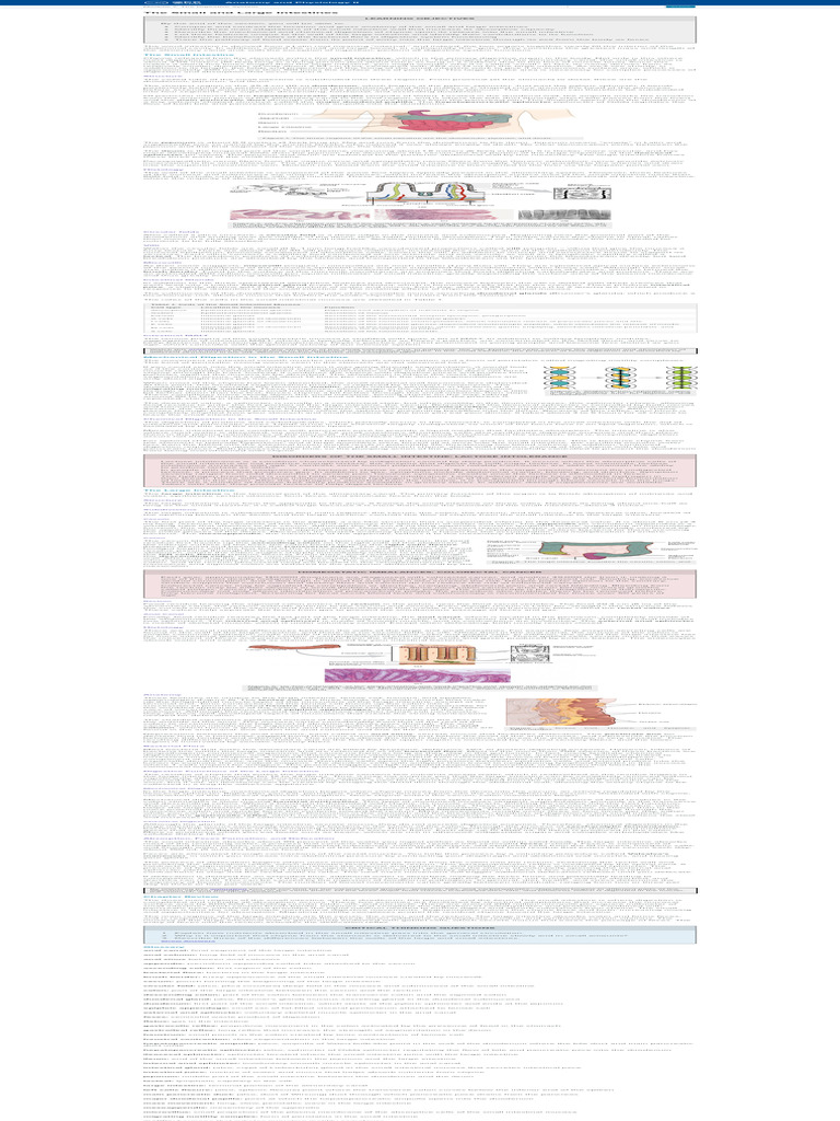 The Small and Large Intestines Anatomy and Physiol - 250429 - 234720 ...
