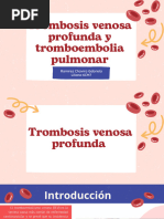 Signo de Homans: Diagnóstico y Relevancia | PDF | Anatomía del miembro ...