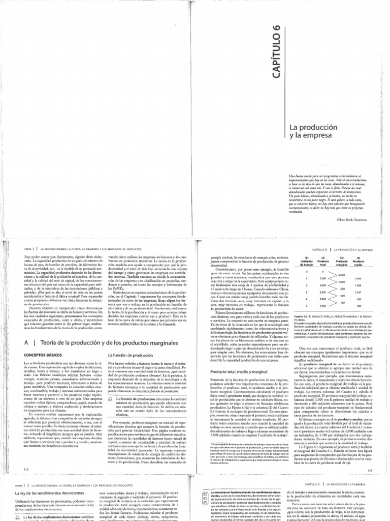 Economia Samuelson Capitulo 6 Produccion y Empresa | PDF
