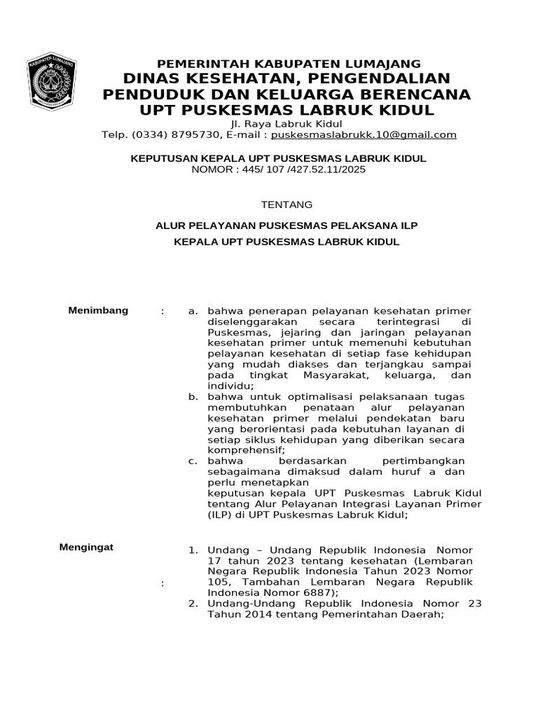 SK Alur Pelayanan Puskesmas Pelaksana Ilp | PDF