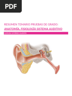 Anatomia de La Audicion | PDF | Hueso | Membrana mucosa