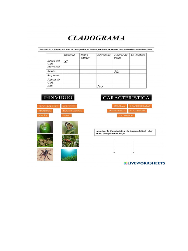 Cladograma | PDF