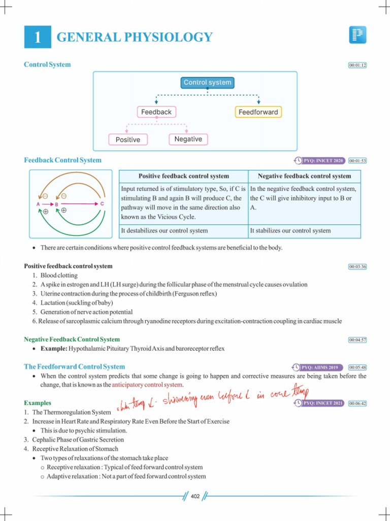 Physiology 6.0 RR | PDF