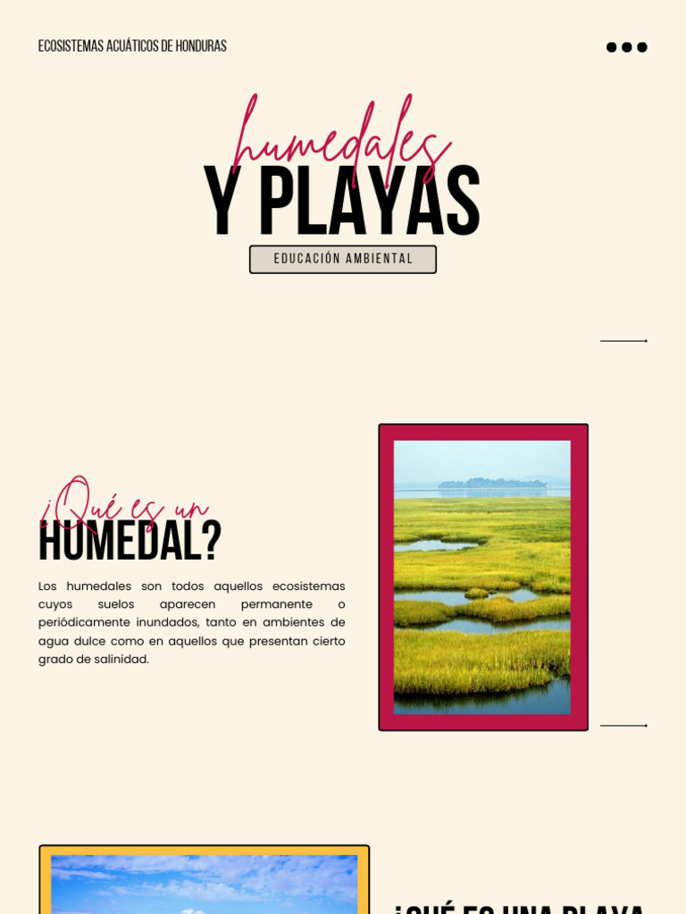 Humedales y Playas | PDF | Humedal | Geografía Física