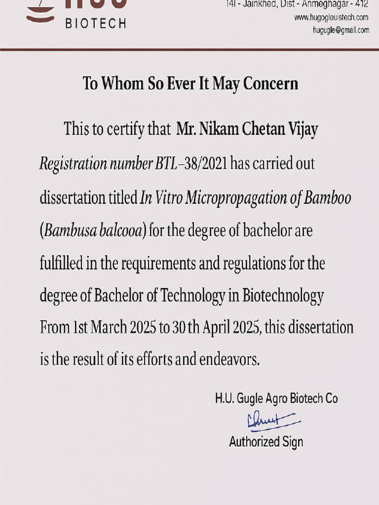 Justified Certificate | PDF