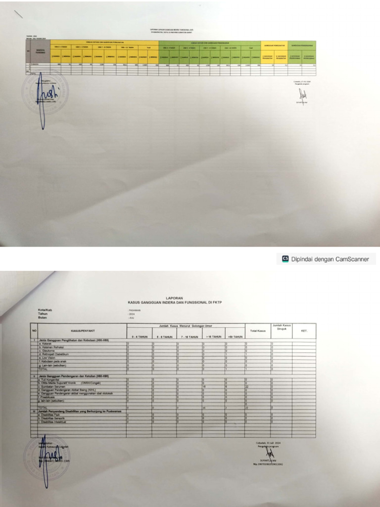 Laporan Bulanan | PDF