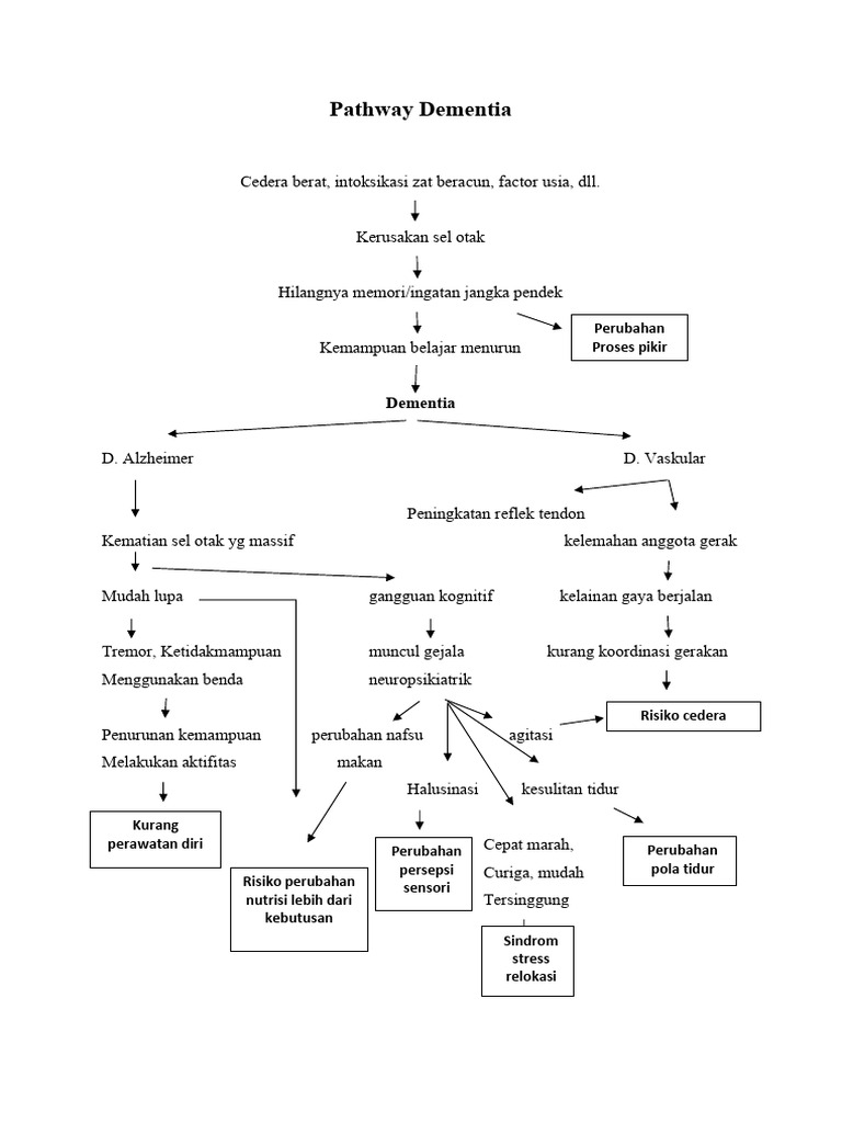 Pathway LP Demensia | PDF