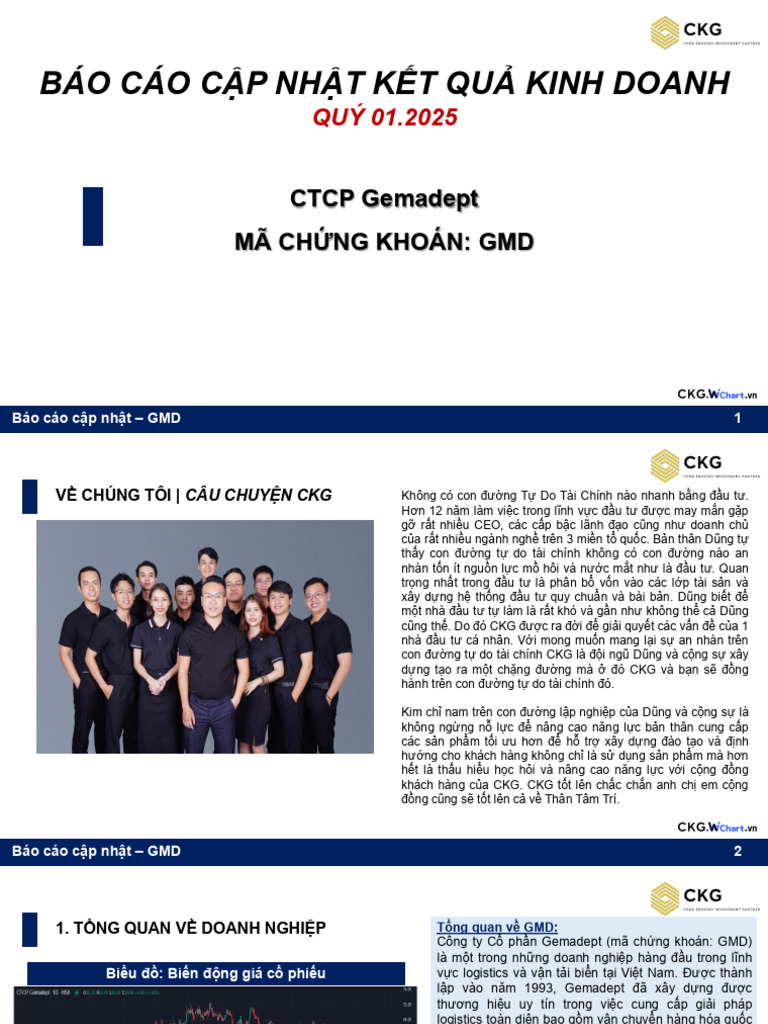 GMD - CTCP Gemadept q1.2025 | PDF