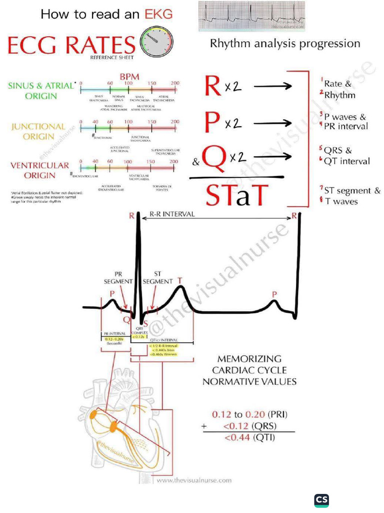 How To Read ECG | PDF