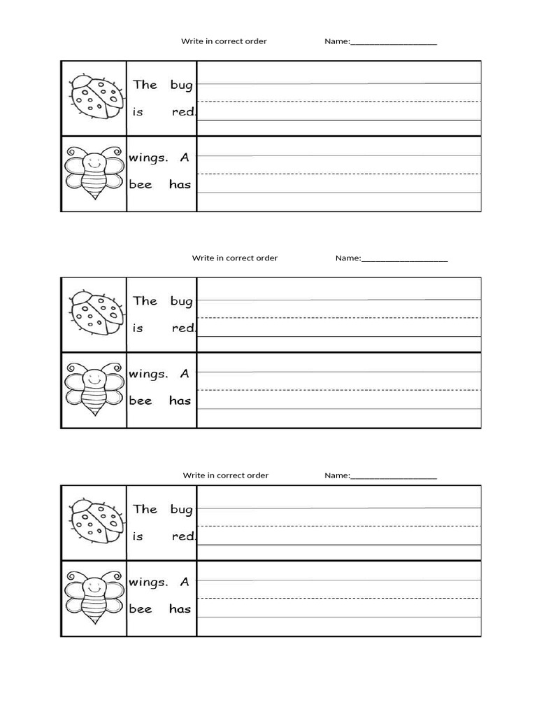 Insect Writing | PDF