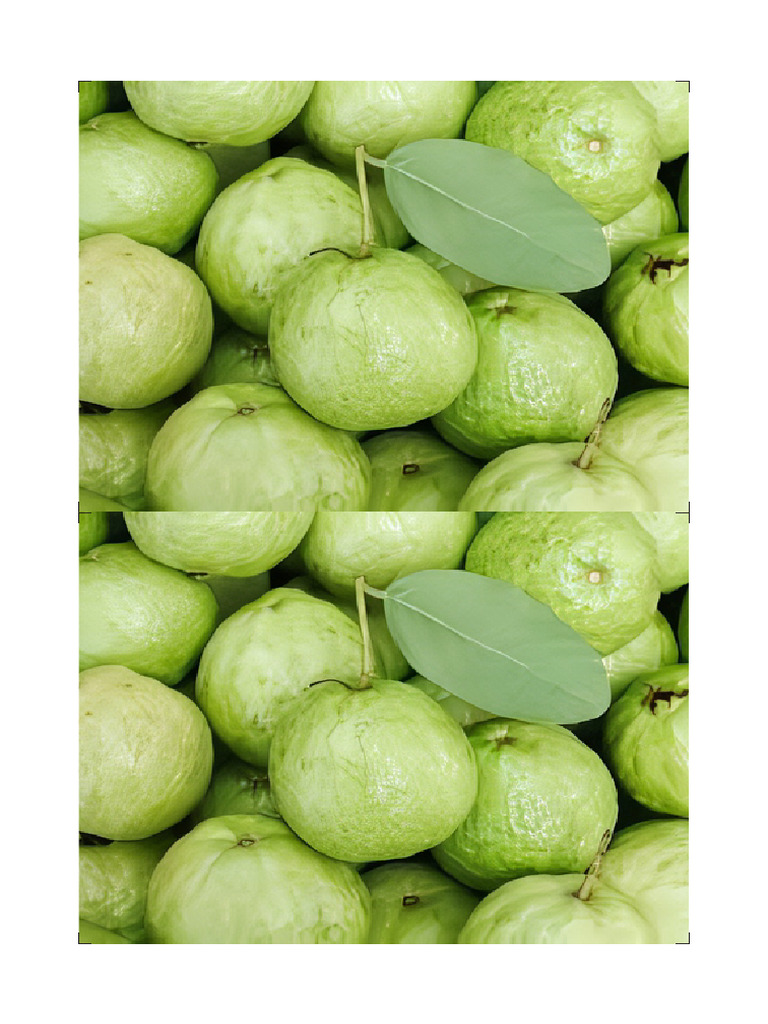 Jambu Alas Kulite Ijo Seng Digagas... Vinil Glosy - 5x | PDF