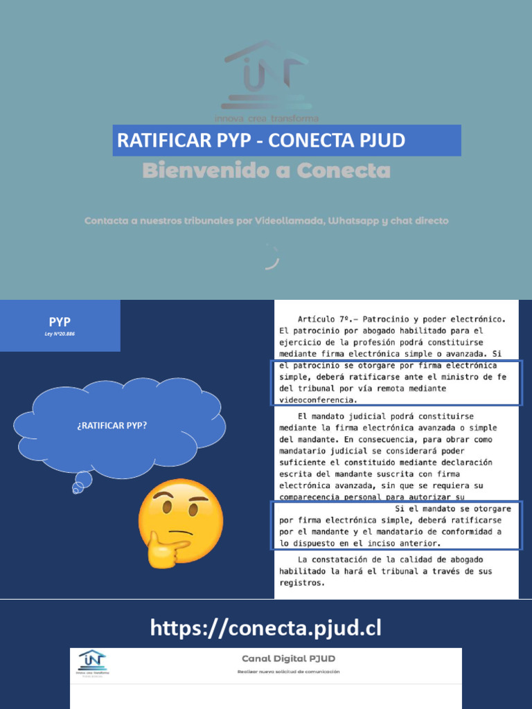 Conecta Pjud - Ratificar Pyp | PDF