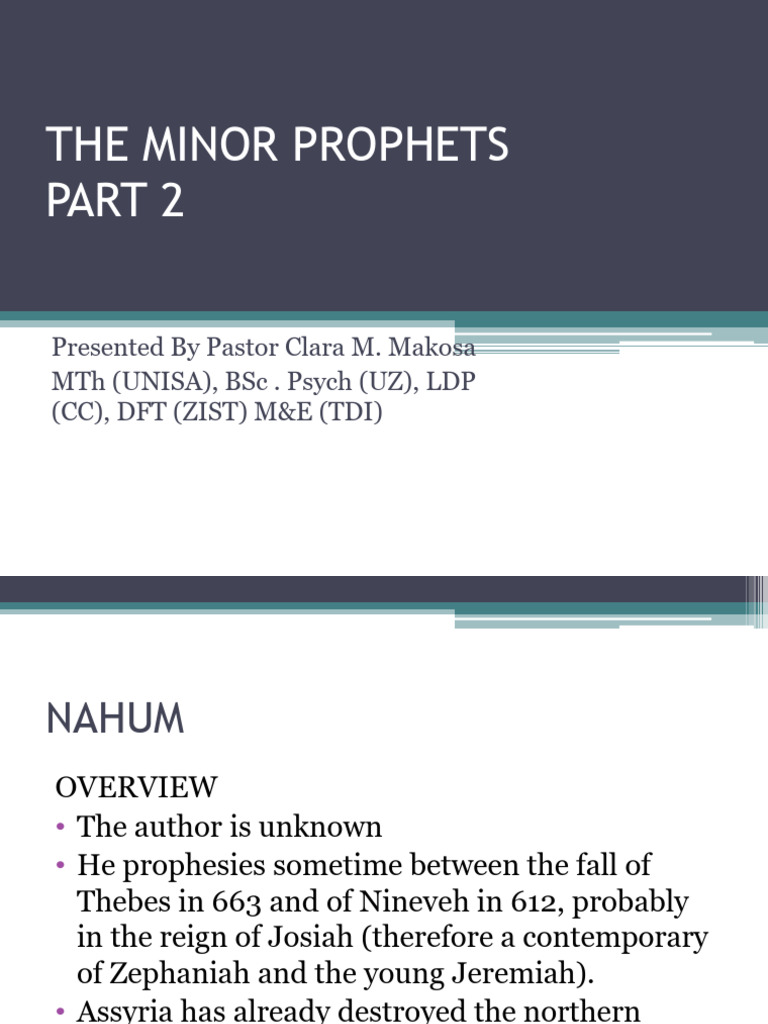 Insights on the Minor Prophets | PDF | Book Of Zechariah | Religious ...