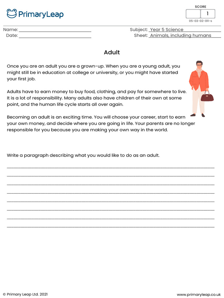 Adult Life Cycle | PDF