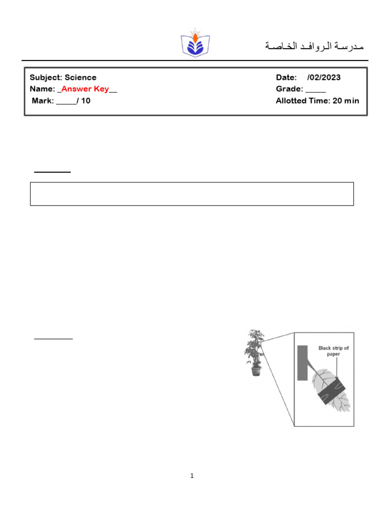 Cell Energy Quiz - Answer Key | PDF | Photosynthesis | Cellular Respiration