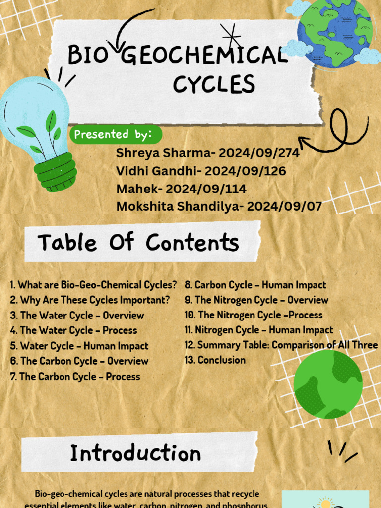 Bio Geochemical Cycles - Evs | PDF | Carbon Dioxide | Water Cycle