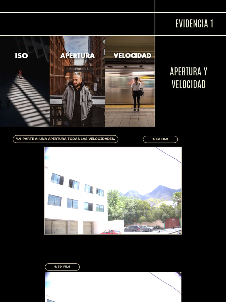 Evidencia1 Fotografia | PDF