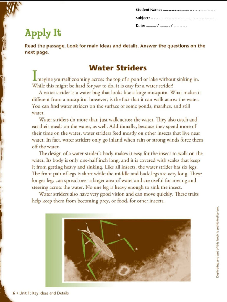 Demo Lesson For Grade 4-5 English Reading Comprehension April 2025 | PDF